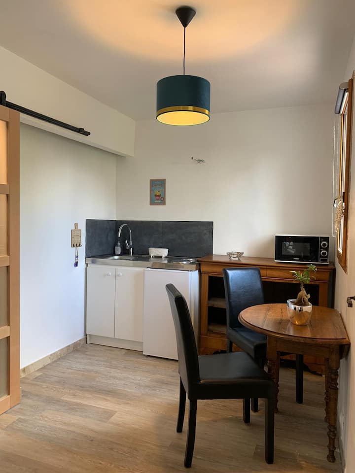 Chambre D Hôte Dans Studio Indépendant. Jardin . - Forêt Domaniale de Montmorency