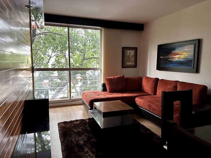 Kokiri Tree - Mexico City