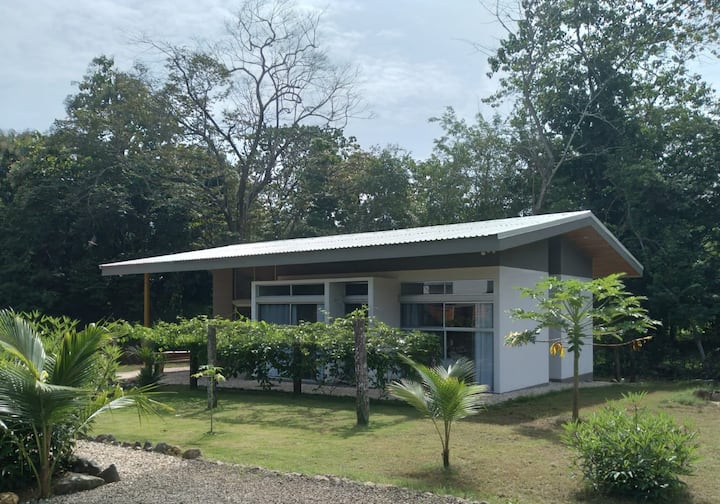 Contemporary 3 D/bed House Near Ocean And Wildlife - Costa Rica