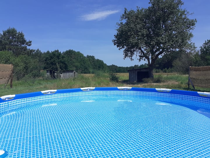 Le Goupil - Plage Le Porge Océan