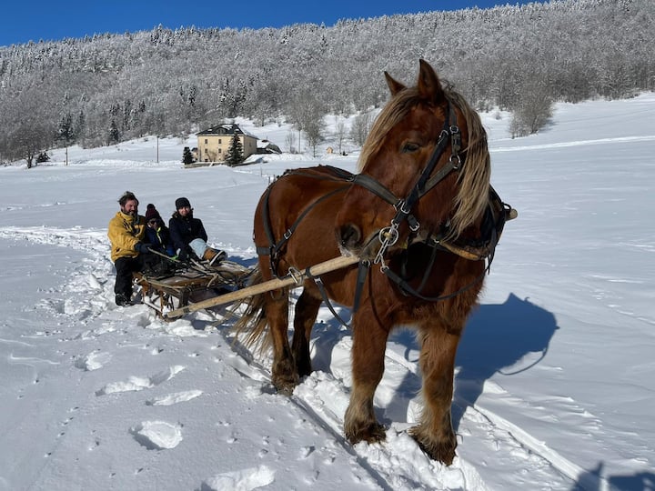 Appartement 4 Personnes Haut-jura - Divonne-les-Bains