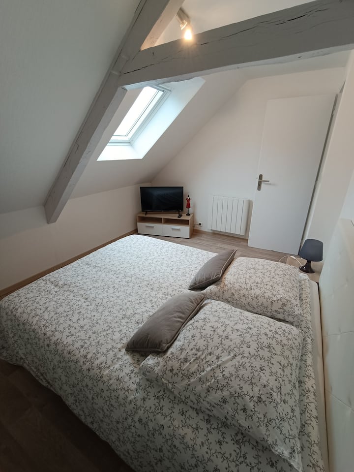 Appartement Hyper Centre - Le Vivier-sur-Mer