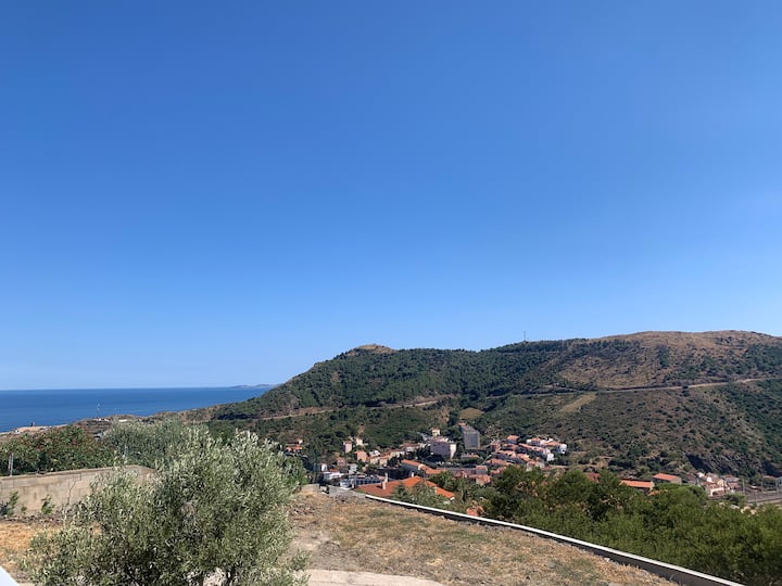 Appartement Avec Terrasse, Vue Mer Et Montagnes. - Cerbère