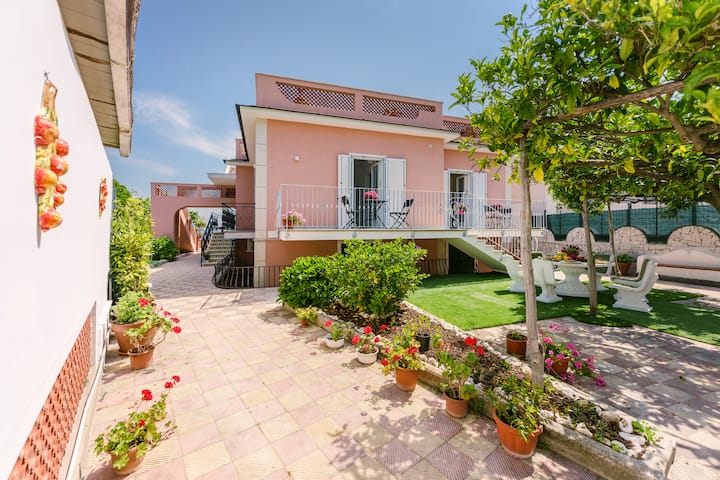 Le Jardin - Procida