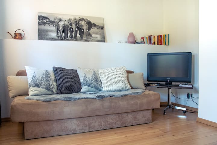 Großzügige Ferienwohnung Im Herzen Landshuts - Landshut