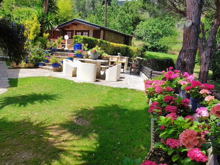 Chalet Climatisée Haut Bastia - Port de Bastia