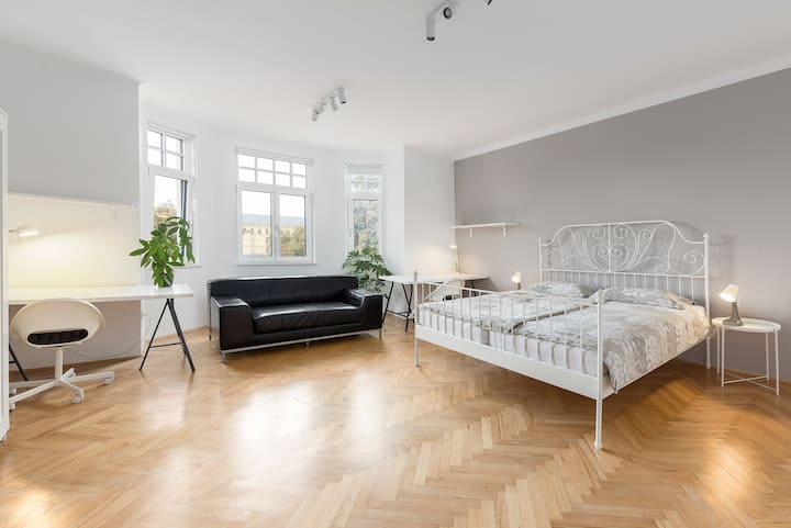 Family Villa Next To Tivoli Park - Ljubljana