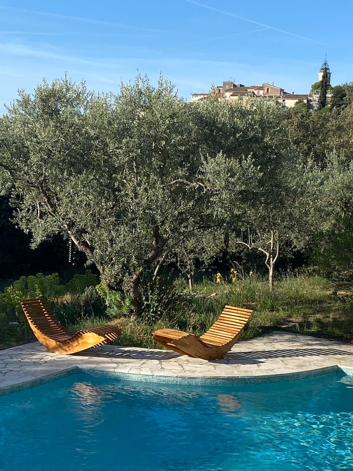 Beautifully Curated  Large Villa, Salt Water Pool - Valensole