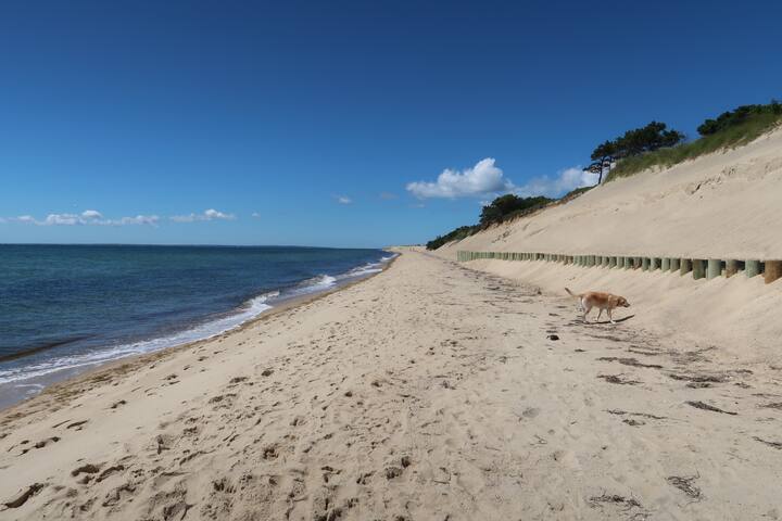 Newly Rennovated Condo Steps From Ocean & Beach - Mashpee, MA