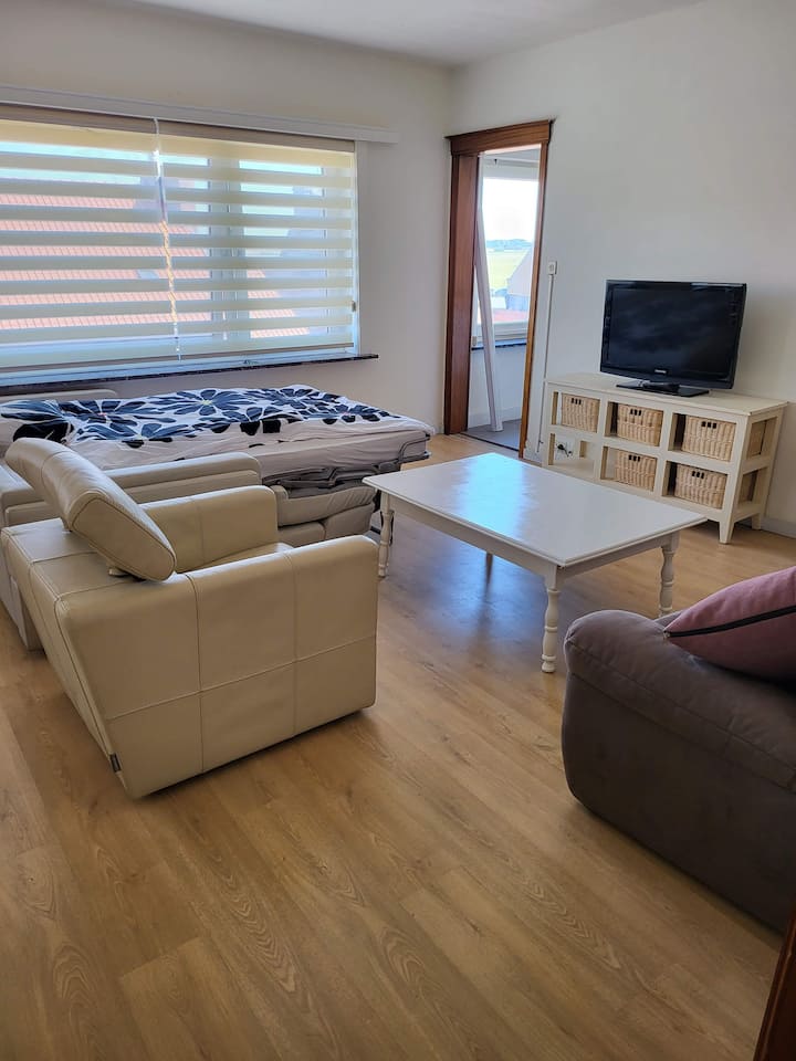 Ruim Appartement 300 M Naar Zee - Ostende