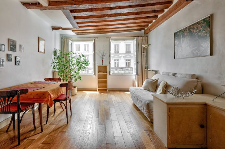 Charmant Studio à La Place Des Vosges