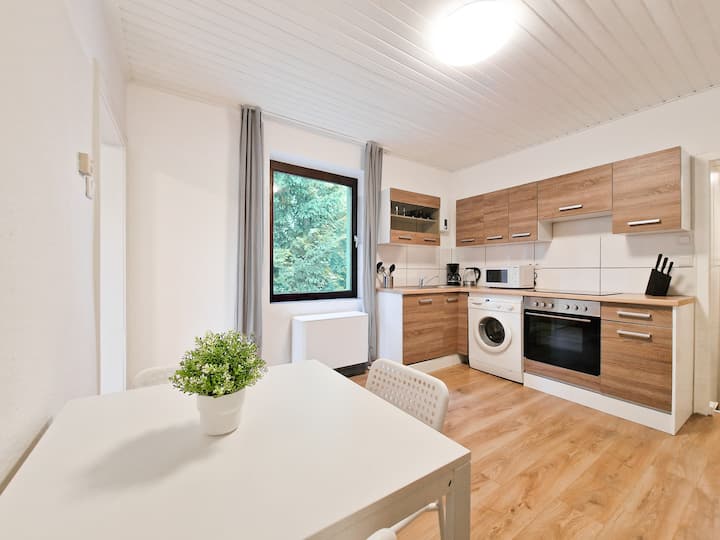 Tolstov Apartments - 1 Room Monteur Apartment - デュイスブルク