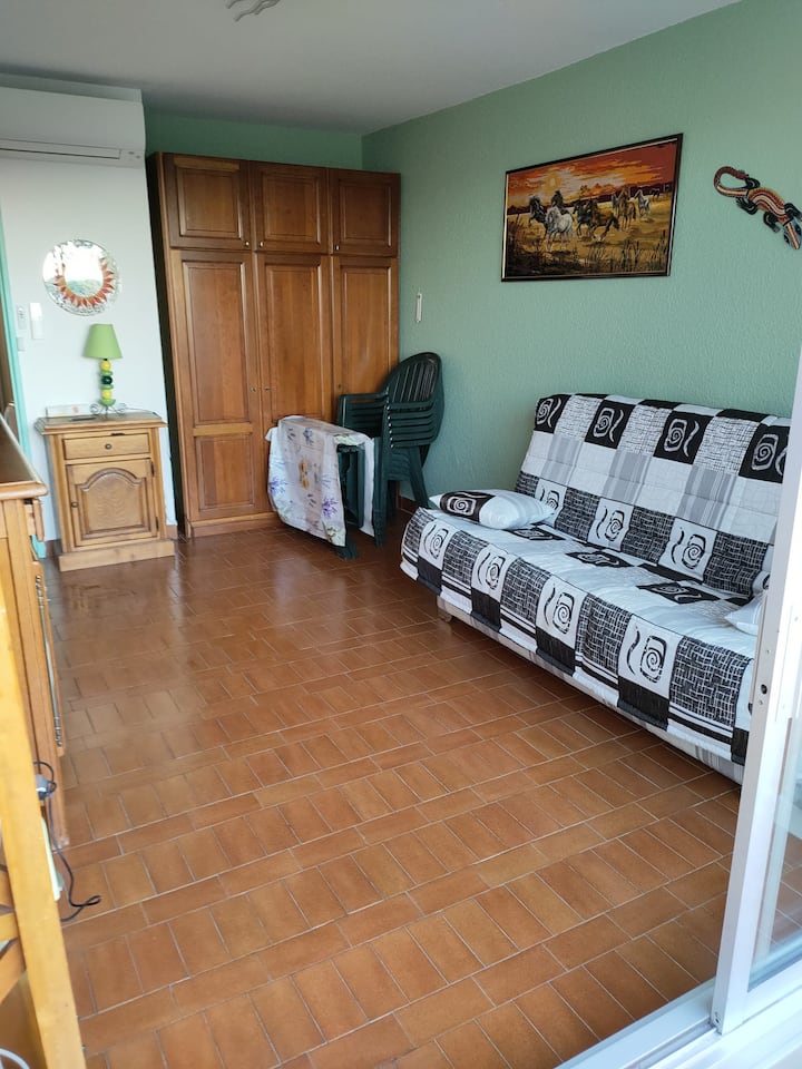 Studio Port Camargue , Belle Terrasse, Piscine - Plage de l'Espiguette