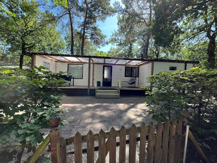Modern Chalet Op Bosrijke Camping 4,5 Ster - Meppel