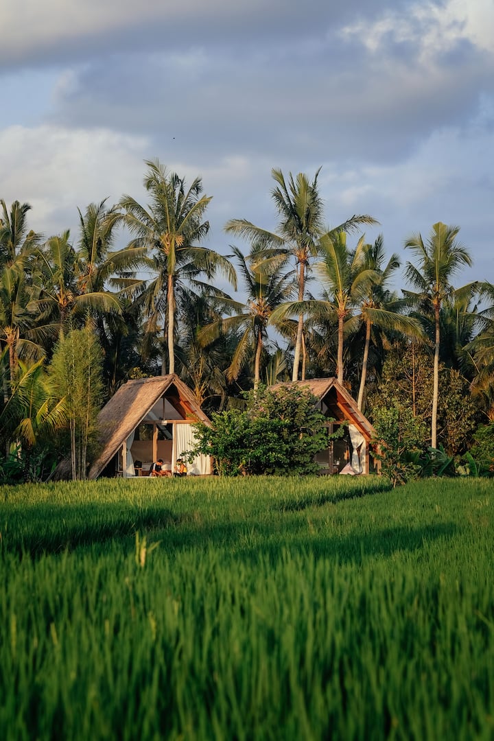 Awan Malam - Ubud