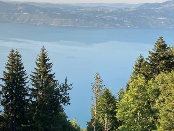 Chalet 8 Pers. Superbe Vue Sur Le Lac Léman - Lake Geneva