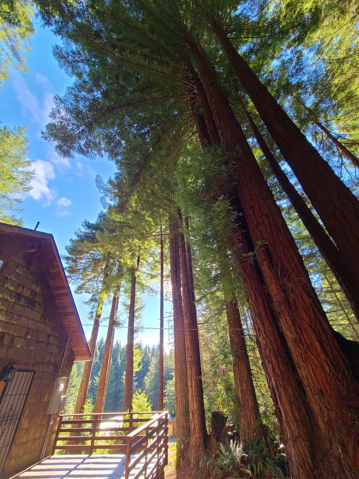 (*Sauna!) Serene Redwood Retreat In Fieldbrook - Blue Lake, CA