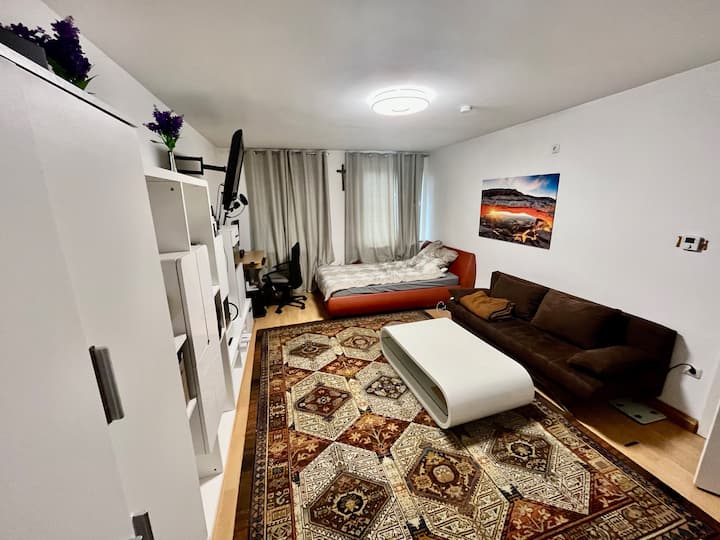Central 1room 20 Min Walk To Oktoberfest - Munich