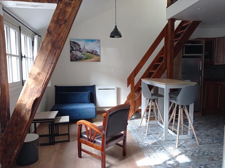 Vannes, Hyper Centre, T 2 Bis Calme Et Chaleureux - Vannes