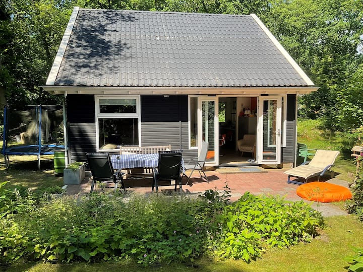 Luxe Vakantiehuisje In Bos In Drenthe - Assen