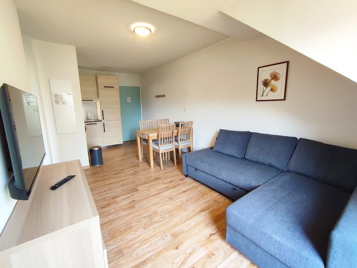 Le Flocon, T2, Vue Montagne, Parking Gratuit - Les