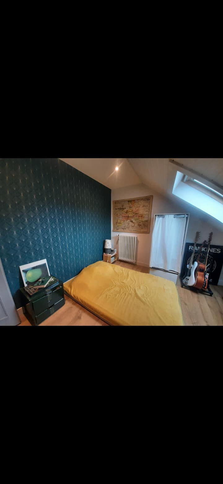 Chambre Chez L'habitant Dans Un Appartement - Annecy