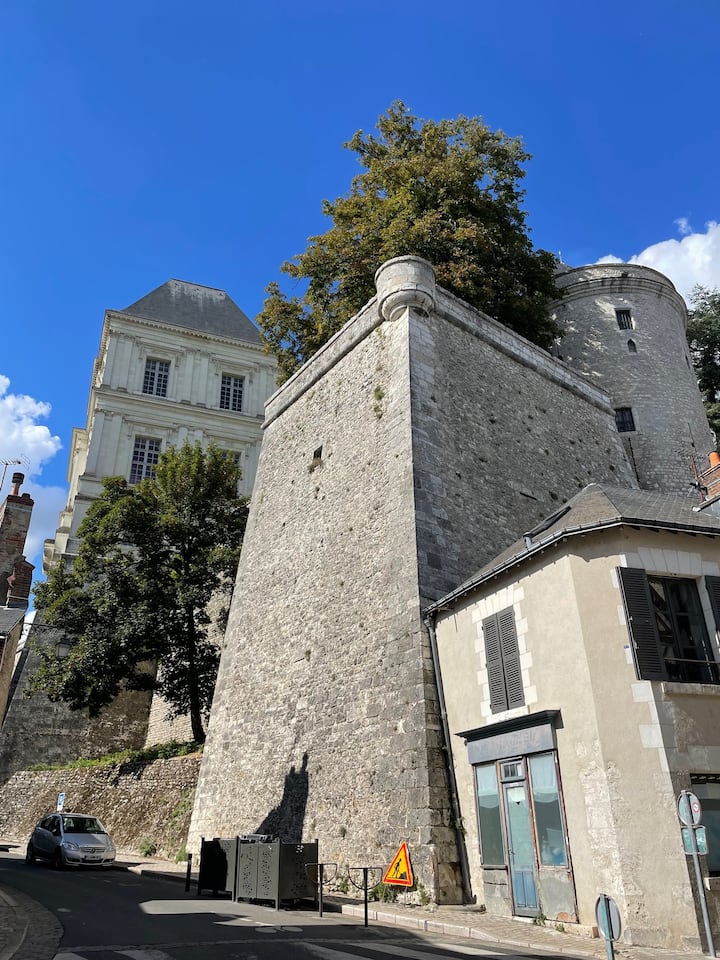 Blois, Le Pot Aux Roses : 100m Du Château - Blois