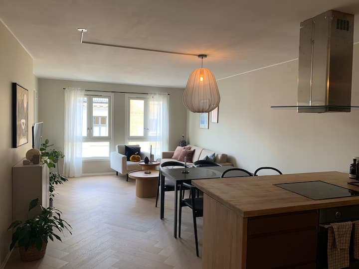 Romslig Leilighet På Tøyen - Oslo