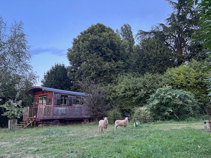Roulotte De Campagne Au Coeur Du Perche. - Orne