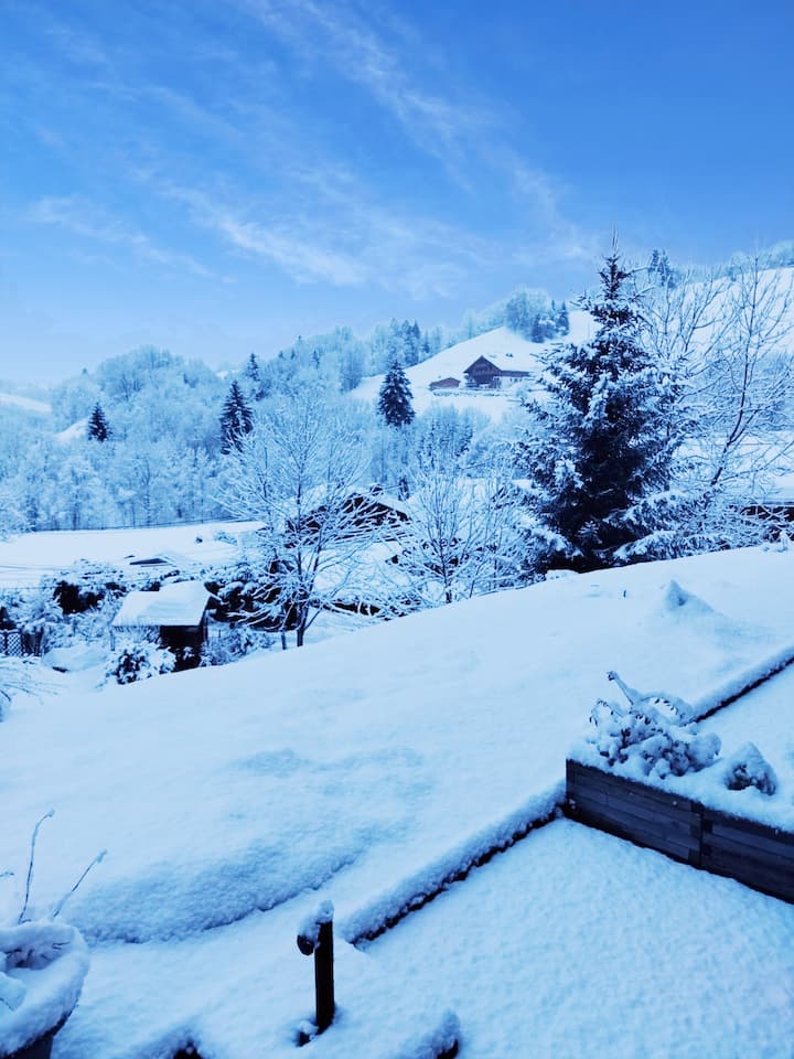 L'evoh, Duplex Au Coeur Des Montagnes - Praz-sur-Arly