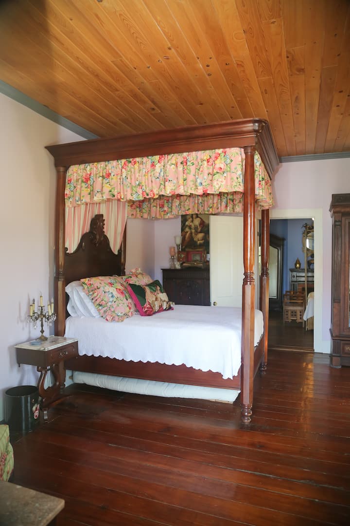 Maison De Lionne Princess Suite - Breaux Bridge, LA