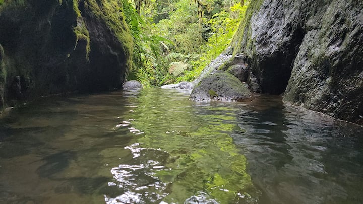 Birdwatchers Paradise On A Private Nature Preserve - Jiménez