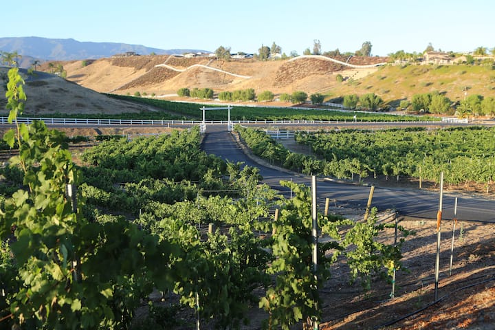 Quaint 2+ Bedroom Wine Country Casita W/ Amenities - Californie