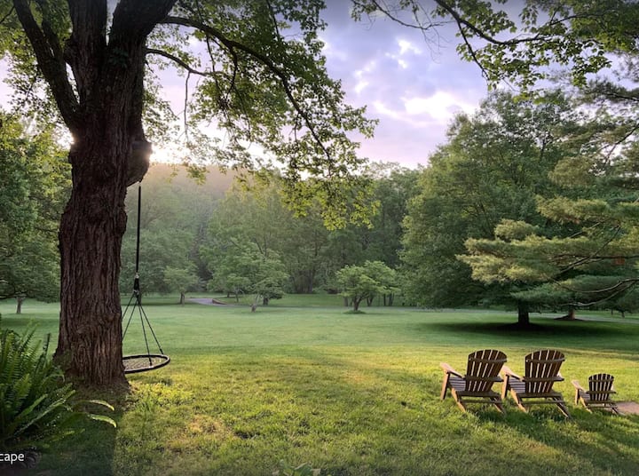 The Creek: A Hidden World Of Natural Enchantment - Somerton - Philadelphia