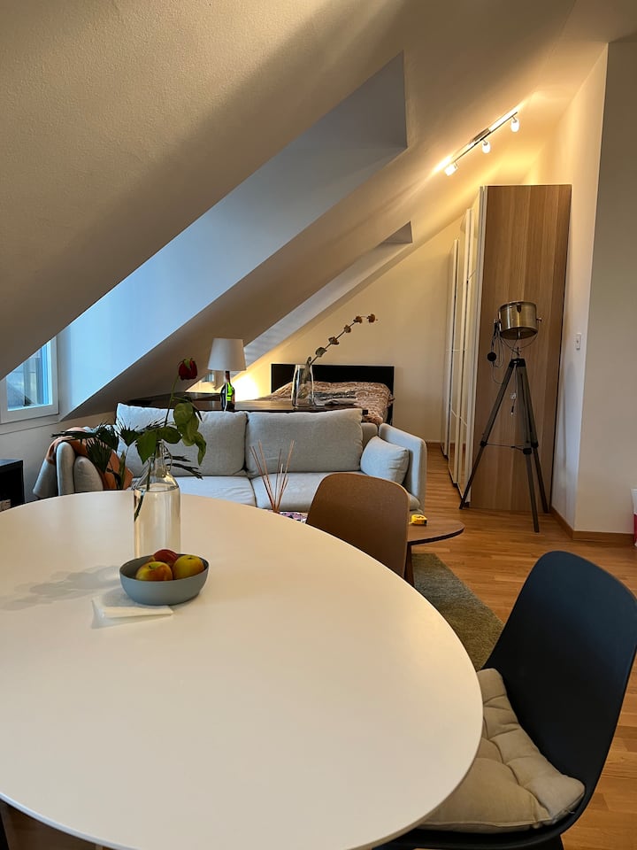 Clean & Well-finished Super-central Loft-studio - Lausanne