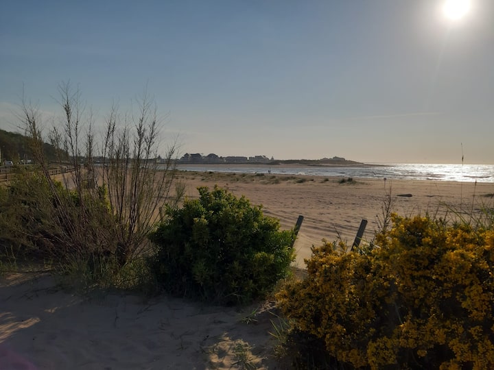 Appartement Cosy Proche Plage Et Centre Ville - Cabourg