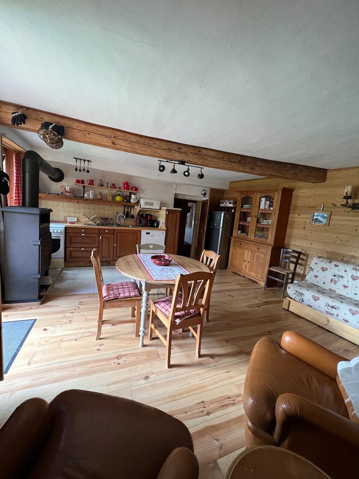 Coquet Appartement Savoyard - Aime