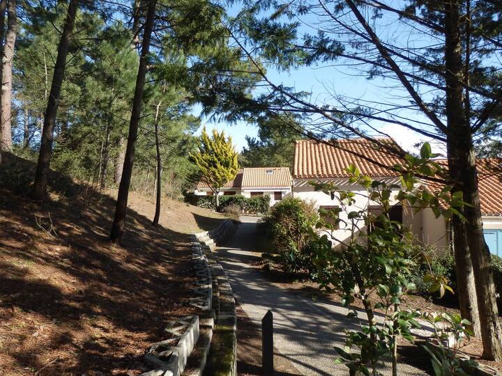 Maisonnette Dans Les Pins Proche Plages - Les Mathes