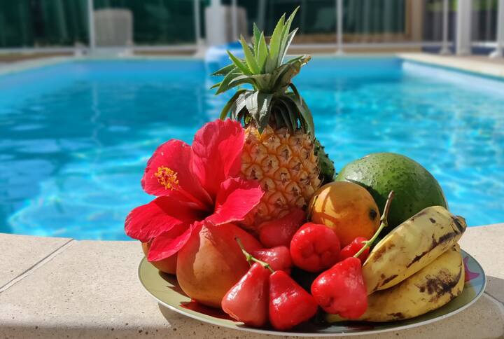 Bas De Villa Avec Piscine Privée - Guadeloupe