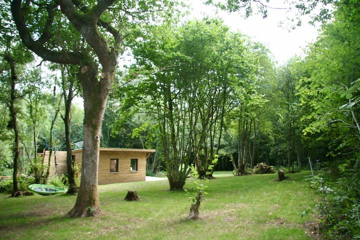 Cosy Eco Friendly Woodland Cabin - Brecon