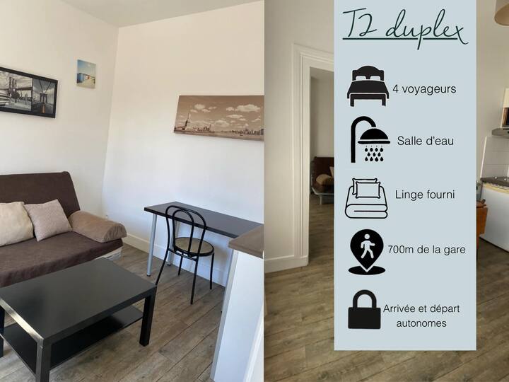 Gs3- Appartement T2duplex Tours Gare-les Prébendes - Tours