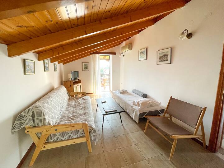 Sea View Apartment Family Vacation Free Parking #8 - Lefkada
