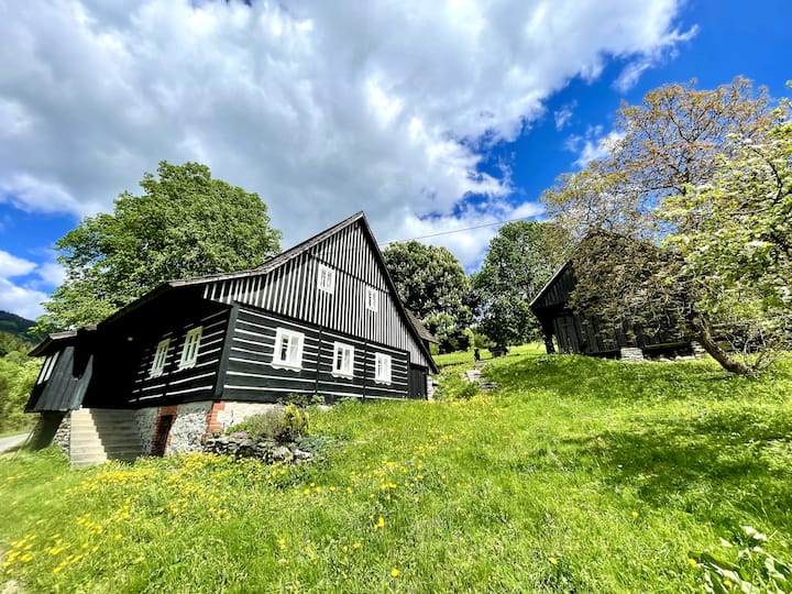 Stylová Roubenka S Wellness Až Pro 12 Osob - Harrachov