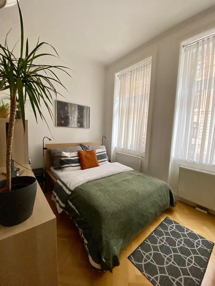 Gemütliche Altbauwohnung Mit Charme - Wenen