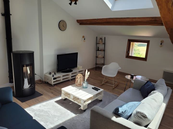Superbe Appartement Rénové Au Cœur Des Dombes - Parc des Oiseaux de Villars-les-Dombes