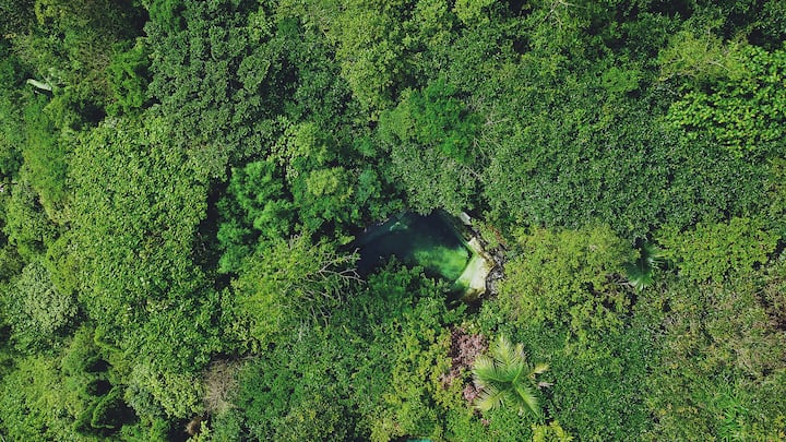 Balcony View - Room 4 At Little Flower Farms - Vagamon