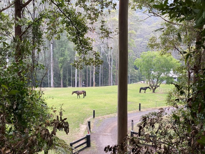 Cosy Country Cottage In Lush Bush - Gosford