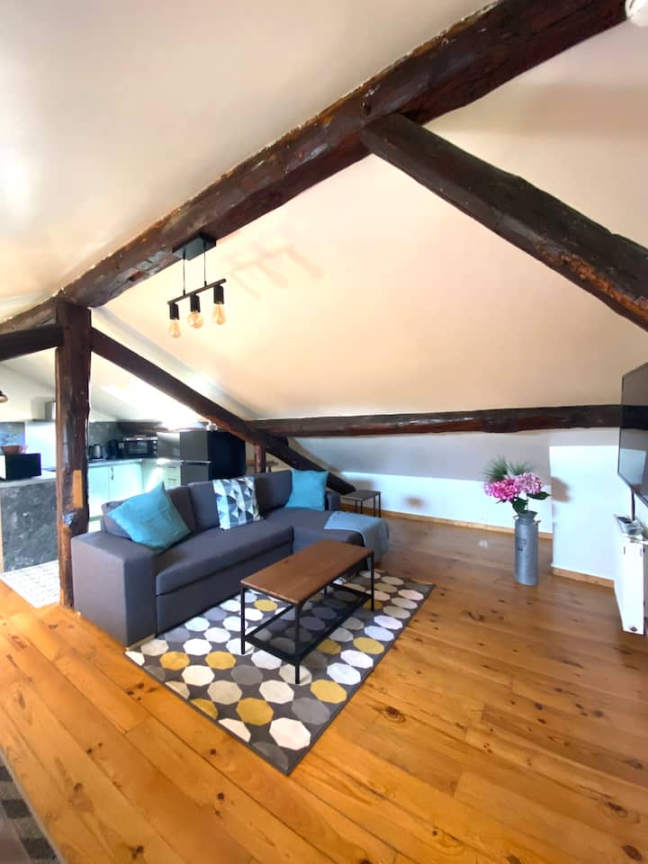 Chalon-sur-saône: Cosy Appartement En Centre-ville - Chalon-sur-Saône