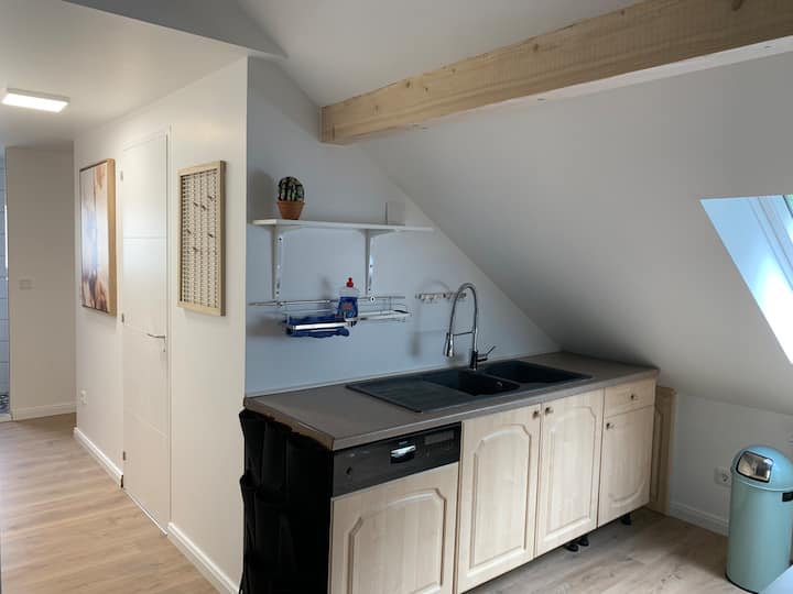 Schöne Dachgeschosswohnung In Uninähe - Saarbrücken