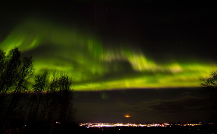 Mountain View Suite - Alaska